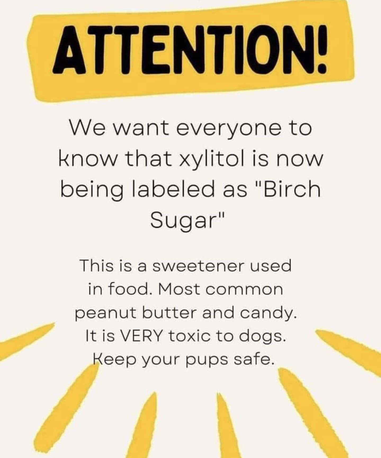 Why Birch Sugar (Xylitol) Can Be Deadly for Dogs - Sit Means Sit Dog ...